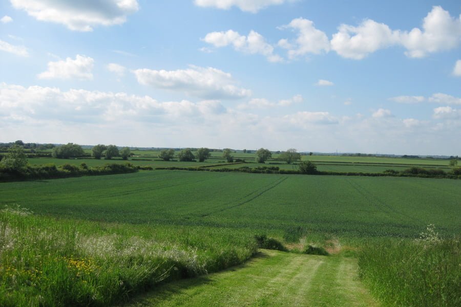 Landscape Assessment - TEP - The Environment PartnershipTEP – The ...