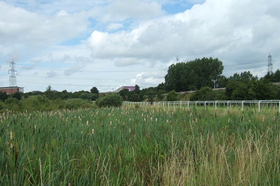 Pontefract Park and Racecourse - TEP - The Environment PartnershipTEP ...