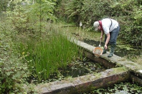 Stranoch Wind Farm, Galloway - TEP - The Environment PartnershipTEP ...