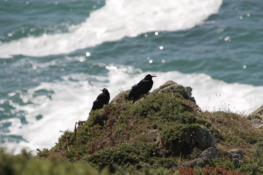 Stranoch Wind Farm, Galloway - TEP - The Environment PartnershipTEP ...