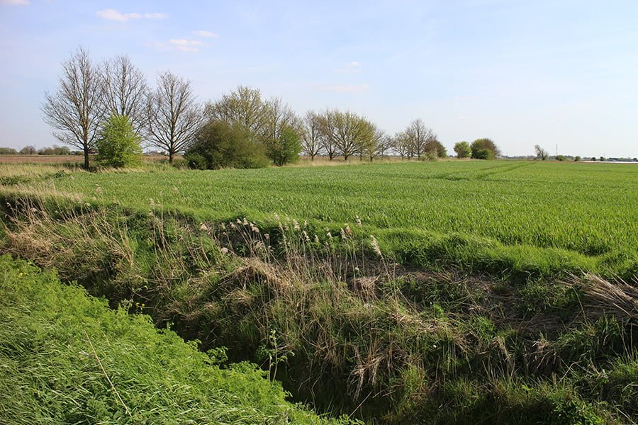 Viking Link (UK – Denmark Interconnector) | TEP – The Environment ...