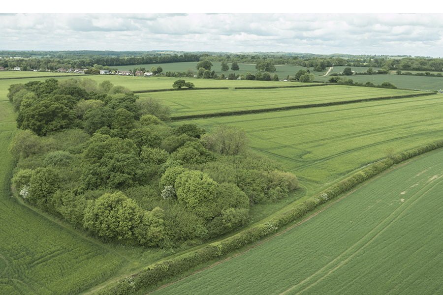 Manydown Strategic Site, Basingstoke - TEP - The Environment ...