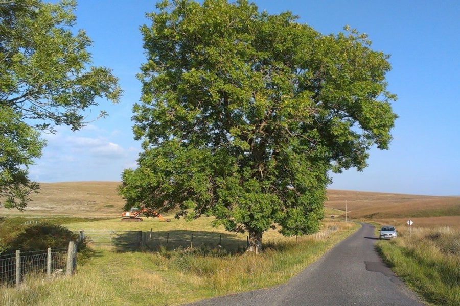 Stranoch Wind Farm, Galloway - TEP - The Environment PartnershipTEP ...