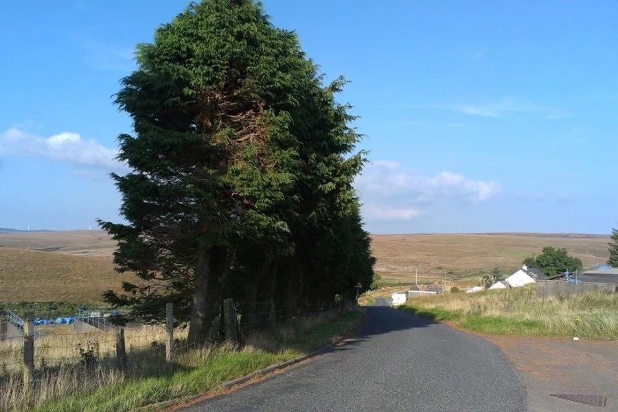 Stranoch Wind Farm, Galloway - TEP - The Environment PartnershipTEP ...