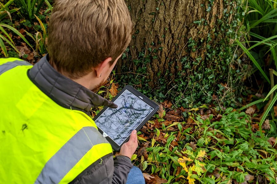 Tree Plotter Innovates Tree Risk Assessments - TEP - The Environment ...