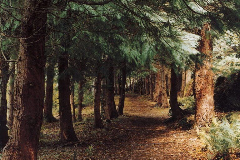 Mapping The Mersey Forest - TEP - The Environment PartnershipTEP – The ...