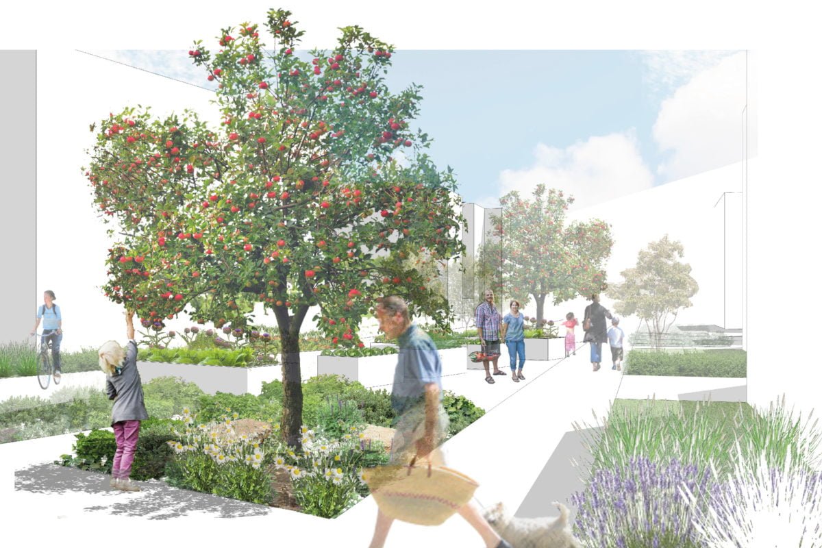 Building With Nature - TEP - The Environment PartnershipTEP – The ...