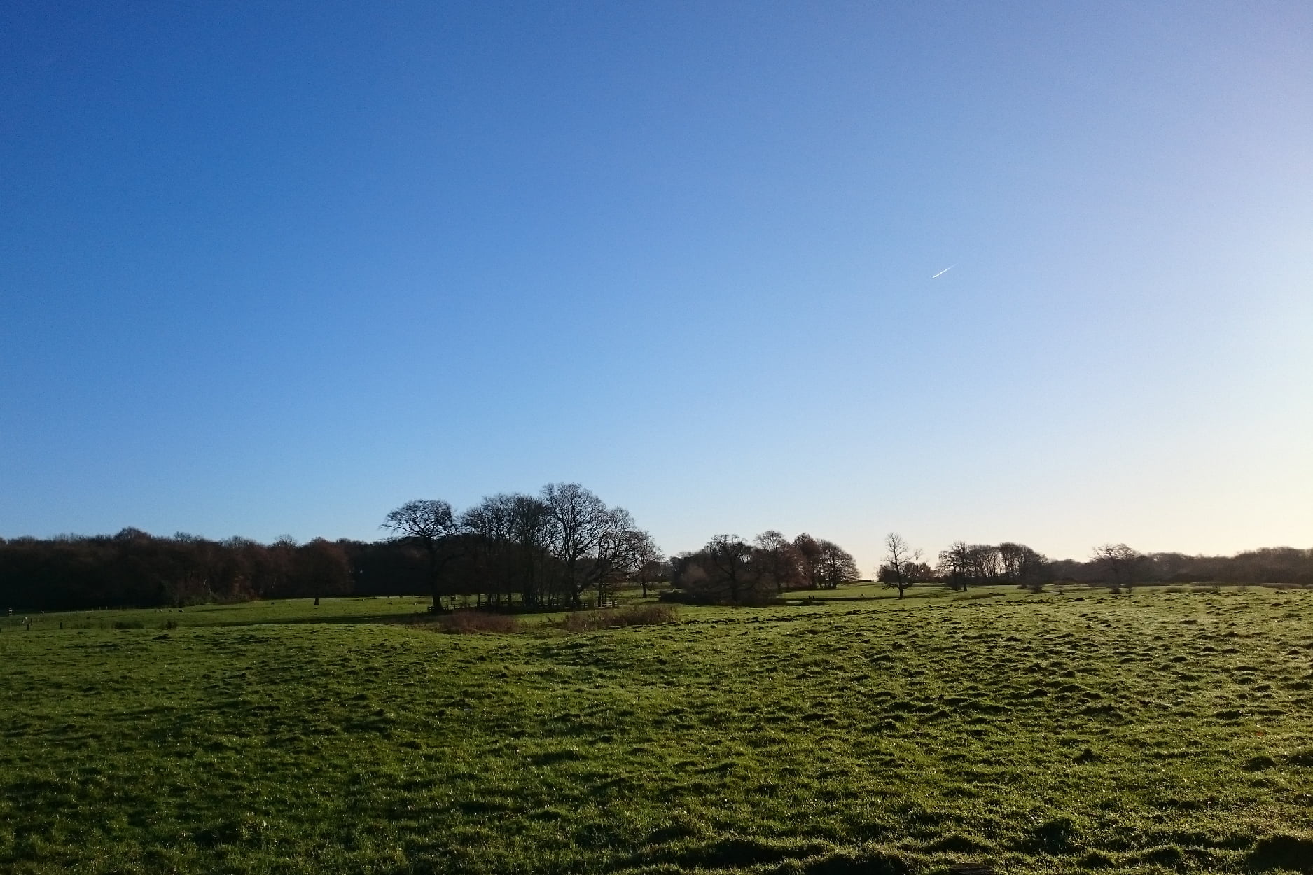 Hulton Park - TEP - The Environment PartnershipTEP – The Environment ...