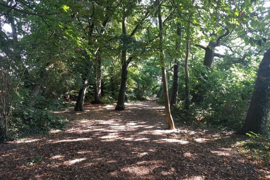 Merton Open Space Strategy - TEP - The Environment PartnershipTEP – The ...