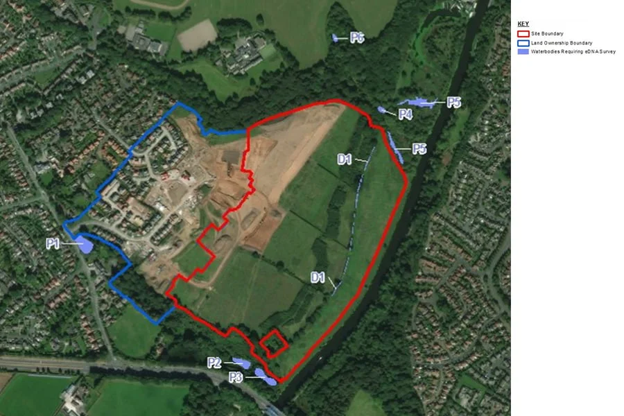 What the Expansion of District Level Licensing Means for Developers ...