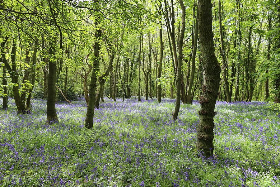 Safeguarding Our Landscapes - TEP - The Environment PartnershipTEP ...