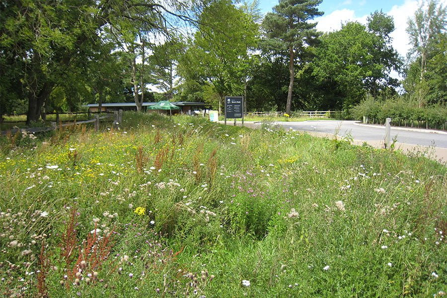 Quarry Bank, Styal - TEP - The Environment PartnershipTEP – The ...