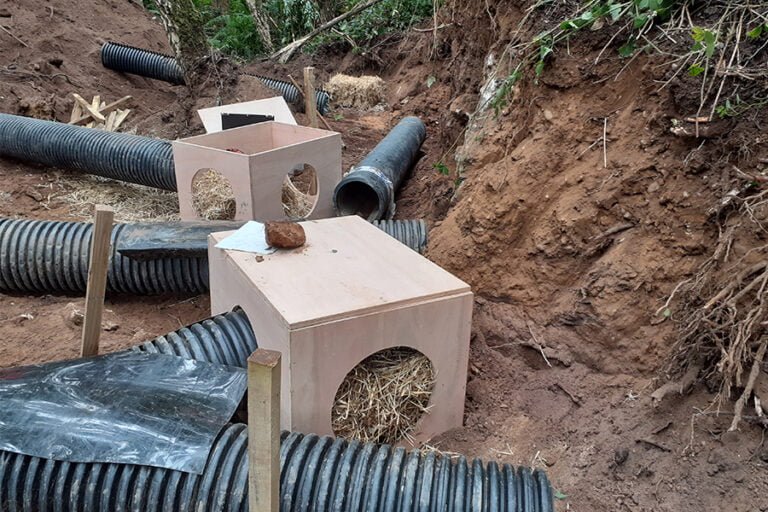 A Tale of Two Badger Setts - TEP - The Environment PartnershipTEP – The ...