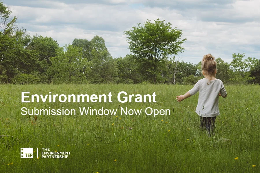 TEP’s Environment Grant Is Now Open for Submissions - TEP - The ...