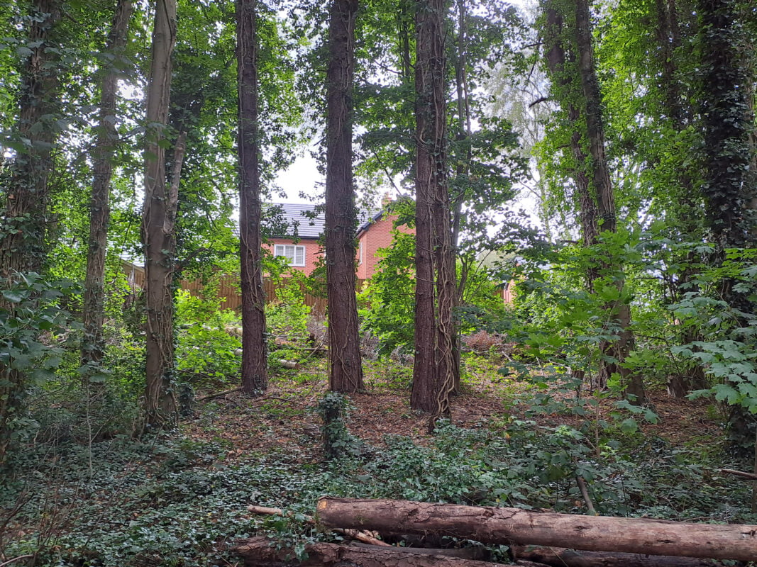 Building with Nature: Transforming Spaces, Transforming Futures - TEP ...