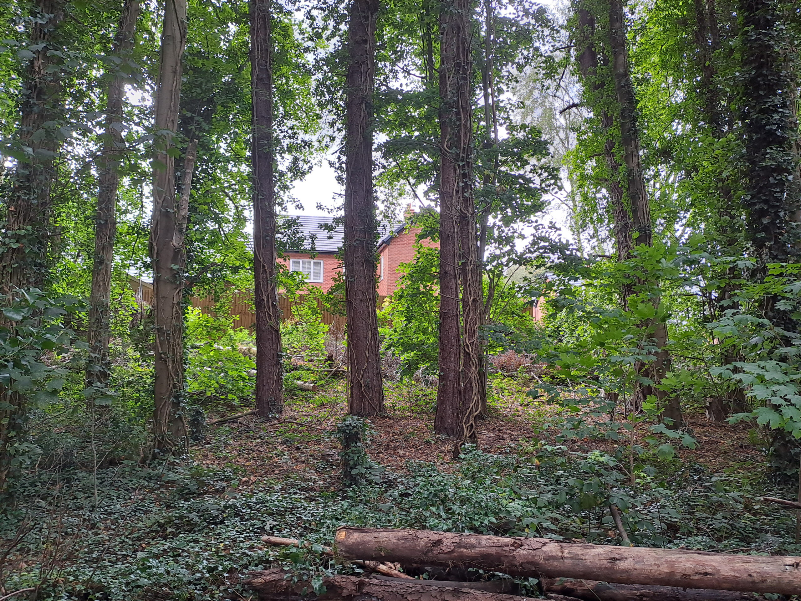 Building with Nature: Transforming Spaces, Transforming Futures - TEP ...