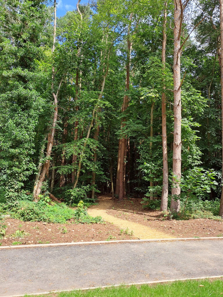 Building with Nature: Transforming Spaces, Transforming Futures - TEP ...