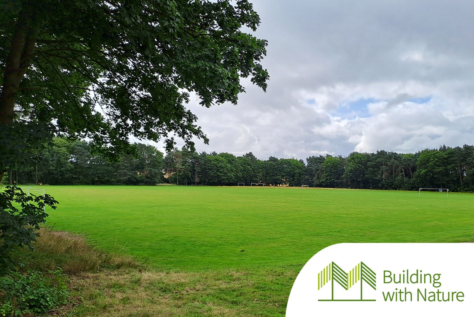 Building with Nature: Transforming Spaces, Transforming Futures - TEP ...