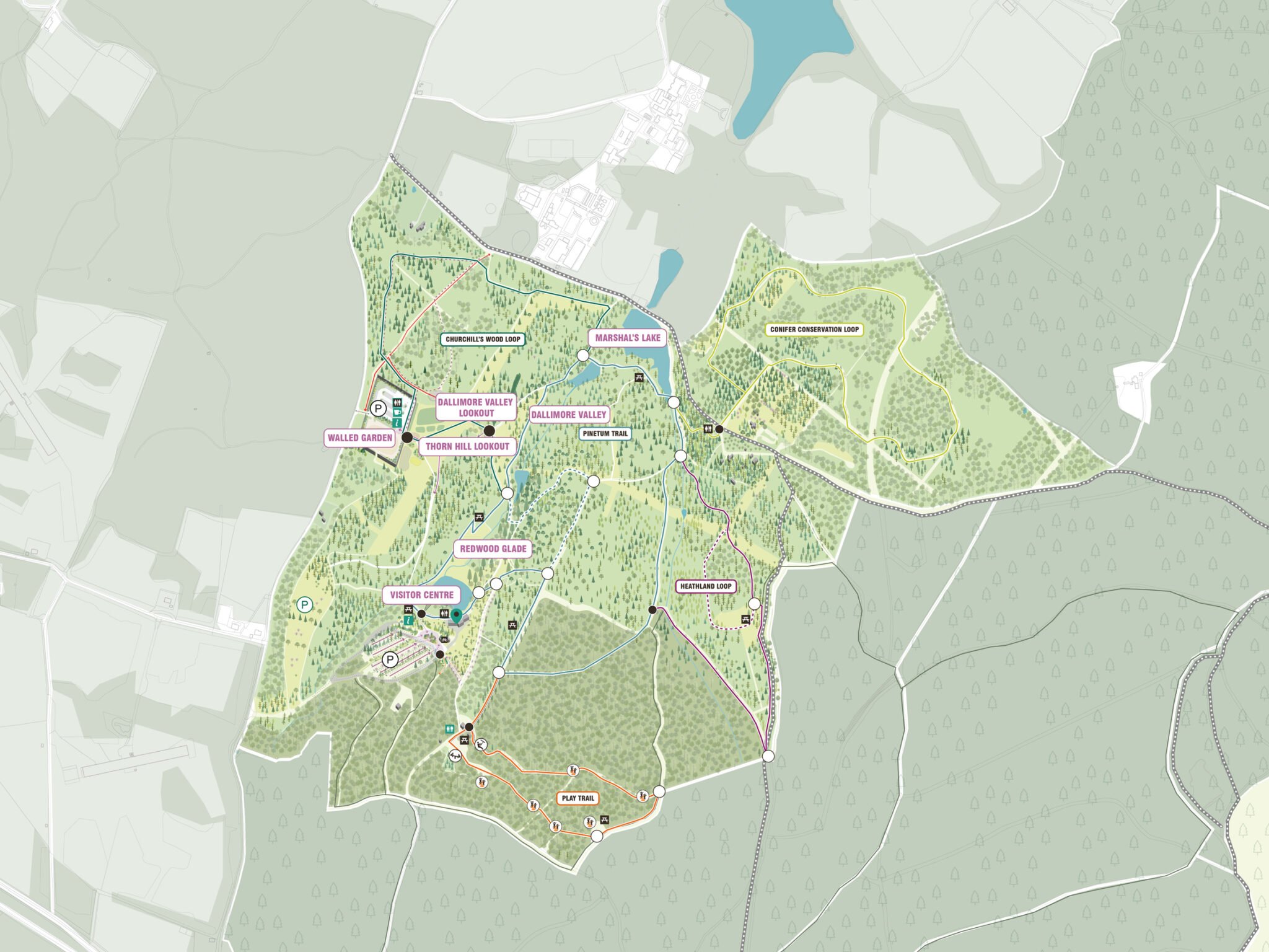 Bedgebury National Pinetum Masterplan - TEP - The Environment ...
