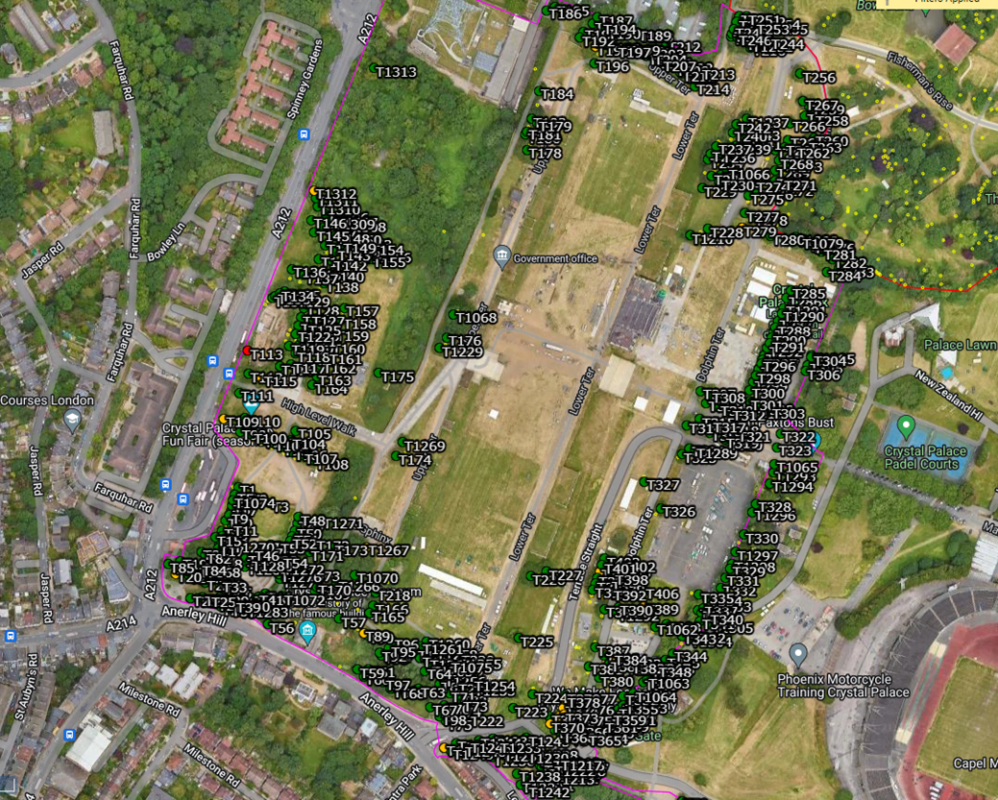 Tree Management at Crystal Palace Park - TEP - The Environment ...