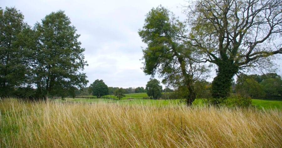 Restoring Lindow Moss - TEP - The Environment PartnershipTEP – The ...