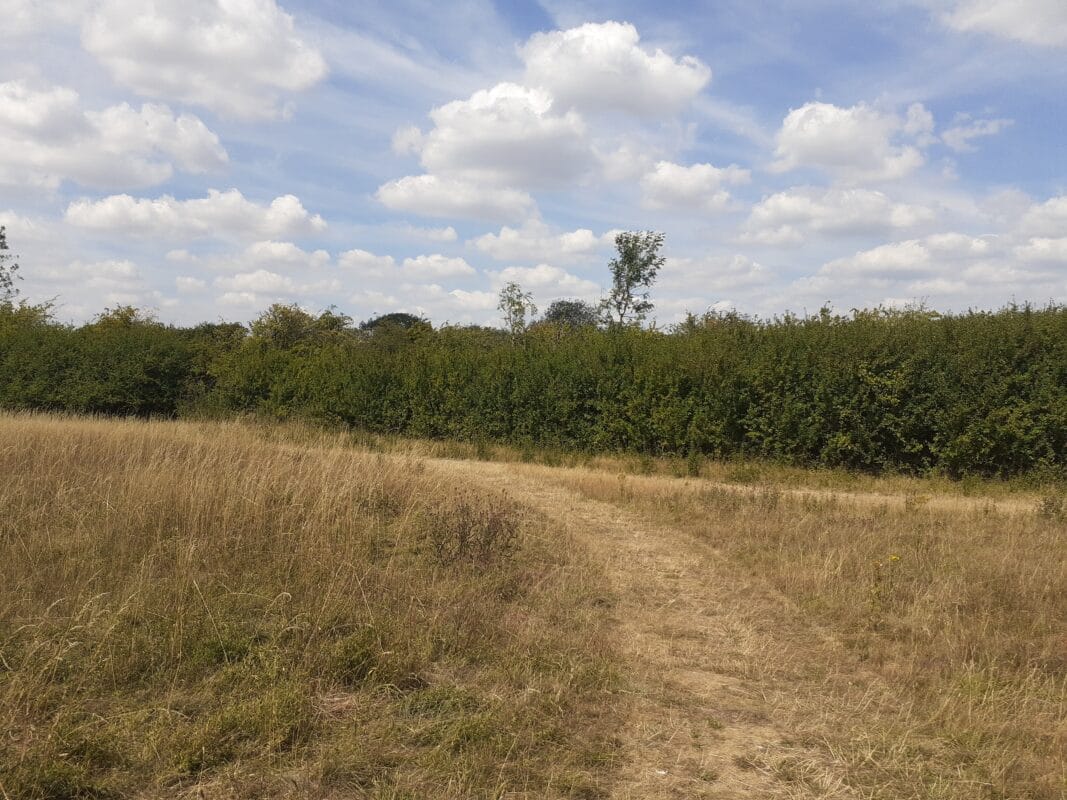 An Open Space Study for Blaby District Council - TEP - The Environment ...