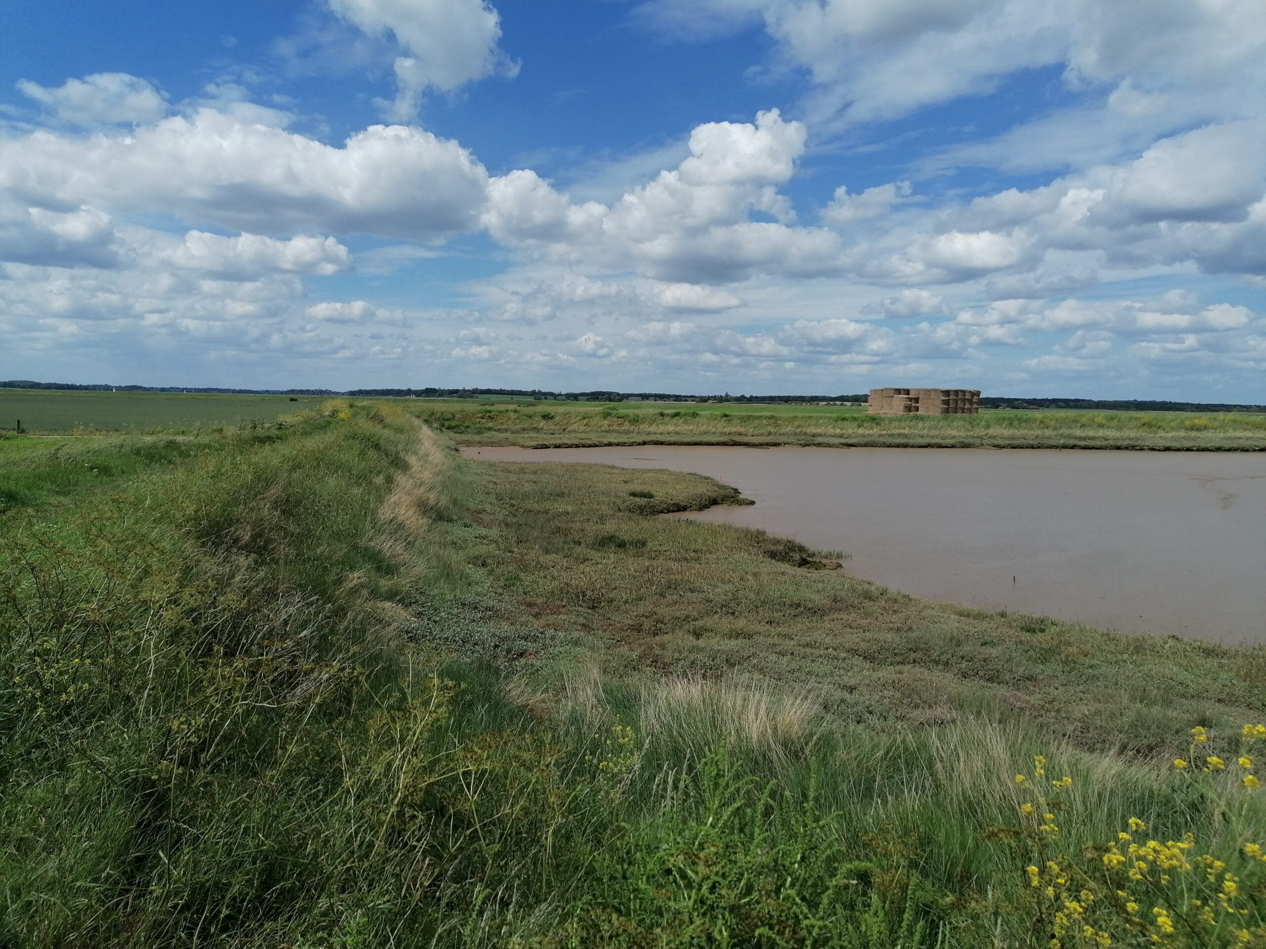 Non-Potable Water Reuse - TEP - The Environment PartnershipTEP – The ...