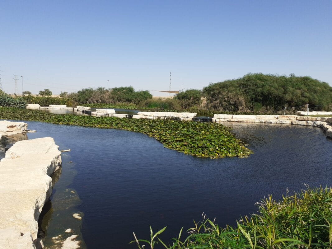 Non-Potable Water Reuse - TEP - The Environment PartnershipTEP – The ...